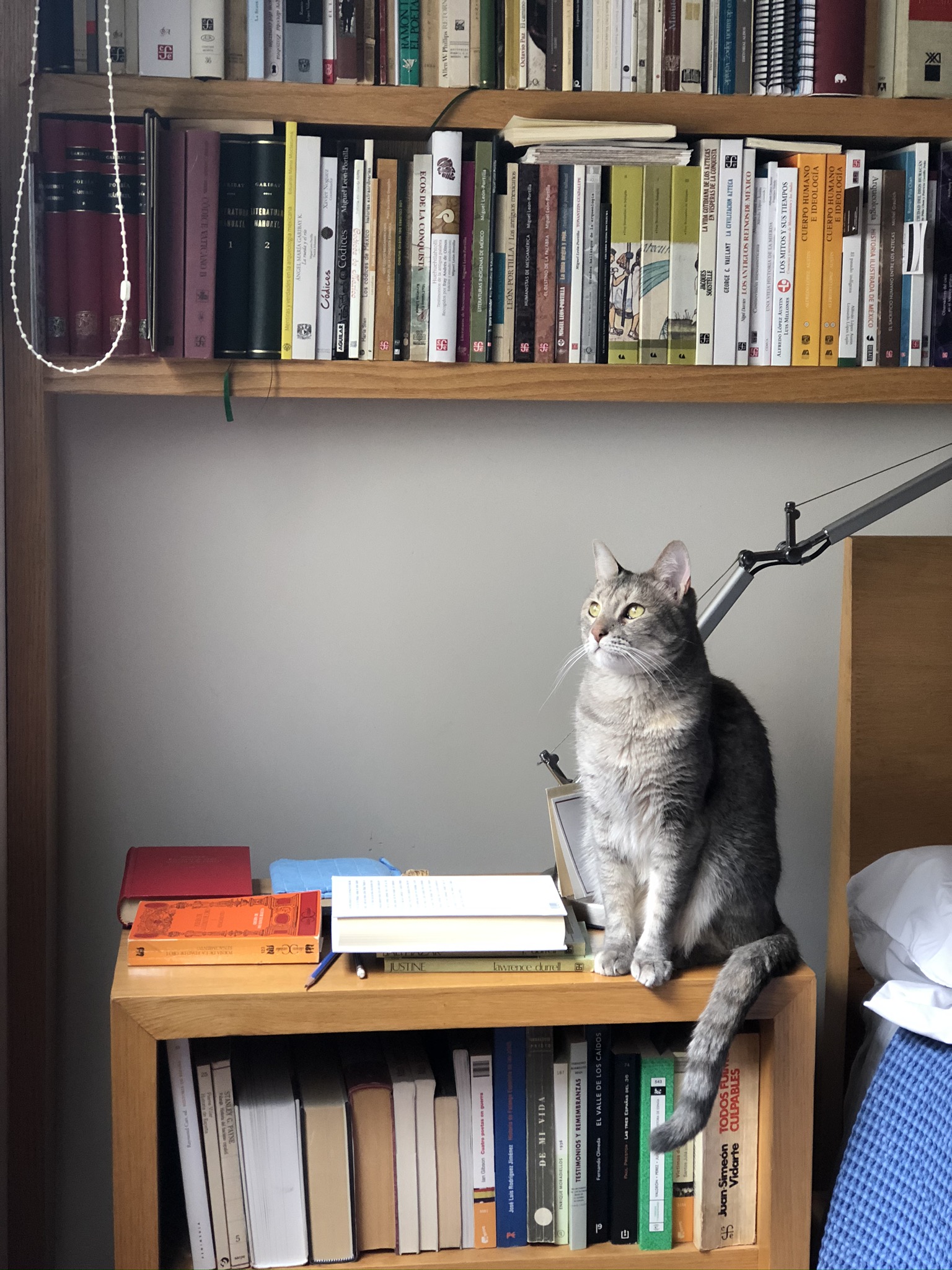 Un lustro con ella – Siglo en la brisa